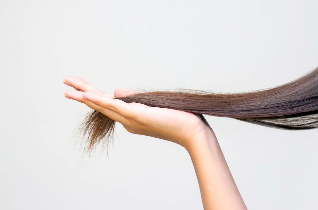 Pelo quebrado o maltratado: cuidados y consejos – eva+avo